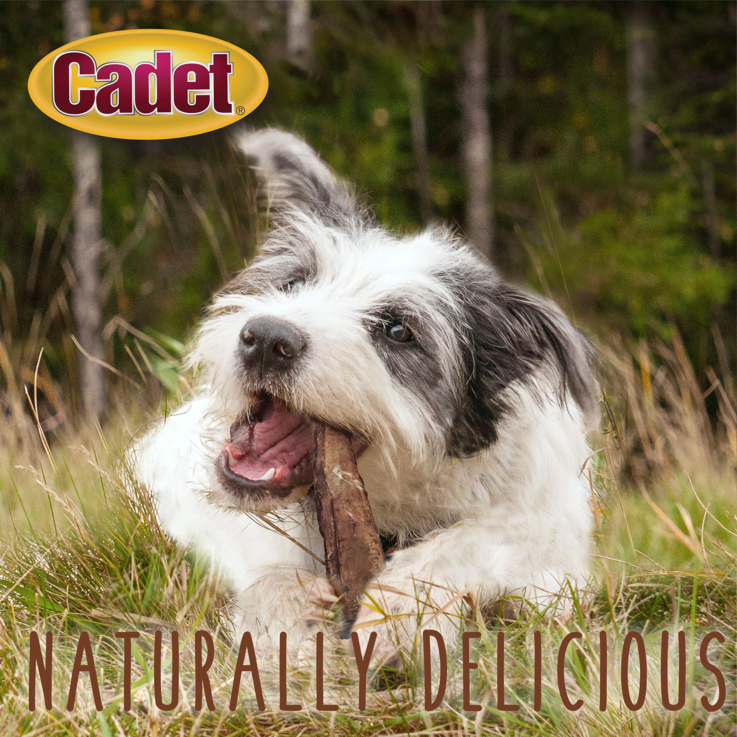 Cadet Gourmet Beef Rib Bones for Dogs - Healthy & Natural Dog Chew Bones - Inspected & Tested in USA, (3 Count)