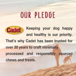 Cadet Gourmet Beef Rib Bones for Dogs - Healthy & Natural Dog Chew Bones - Inspected & Tested in USA, (3 Count)