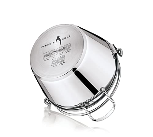 Penguin Home 3820 Professional Jam Maslin Pan-Capacity of 4.5 litres Induction Safe-Suitable for All Hobs-Diameter-24 cm, Stainless Steel, Aluminium, 4.5 liters