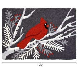 Jellybean Modern Indoor/Outdoor Mat Home Comfort Rugs 20"X 30" Rectangle Cardinal On Gray