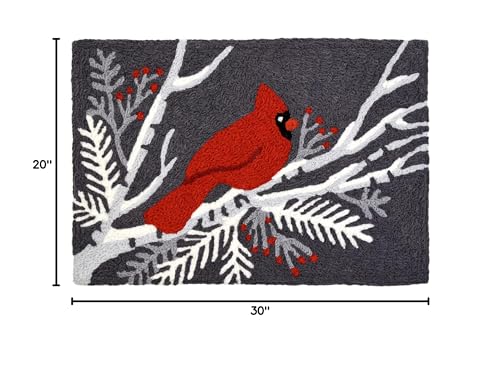 Jellybean Modern Indoor/Outdoor Mat Home Comfort Rugs 20"X 30" Rectangle Cardinal On Gray