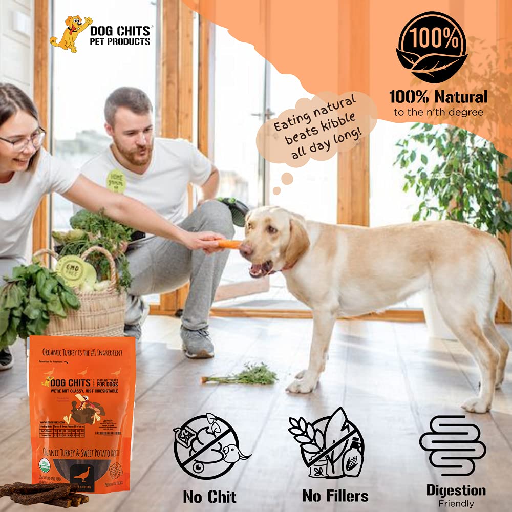 Dog Chits Turkey and Sweet Potato Soft Chew for Dogs - Dog and Puppy Chews | Made in USA | Organic Turkey | All-Natural Treats | Large & Small Dogs | Organic Sweet Potato | 4 oz.