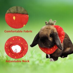 FLAdorepet Rabbit Protection Cone for After Surgery, Elizabeth Neck Recovery Collar for Small Animals,Bunny Toast Avocado Costume (Small (Pack of 1), Strawberry)