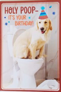 greeting card holy poop it's your birthday funny humor cute with golden labrador retriever - bathroom farting humor