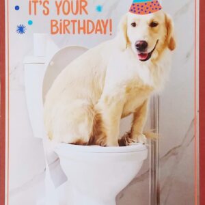 Greeting Card Holy Poop It's Your Birthday Funny Humor Cute with Golden Labrador Retriever - Bathroom Farting Humor