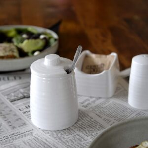 Tablecraft Pulito Collection 5.5 oz Sugar Jar with Lid, Melamine, Textured Finish, 4.5"