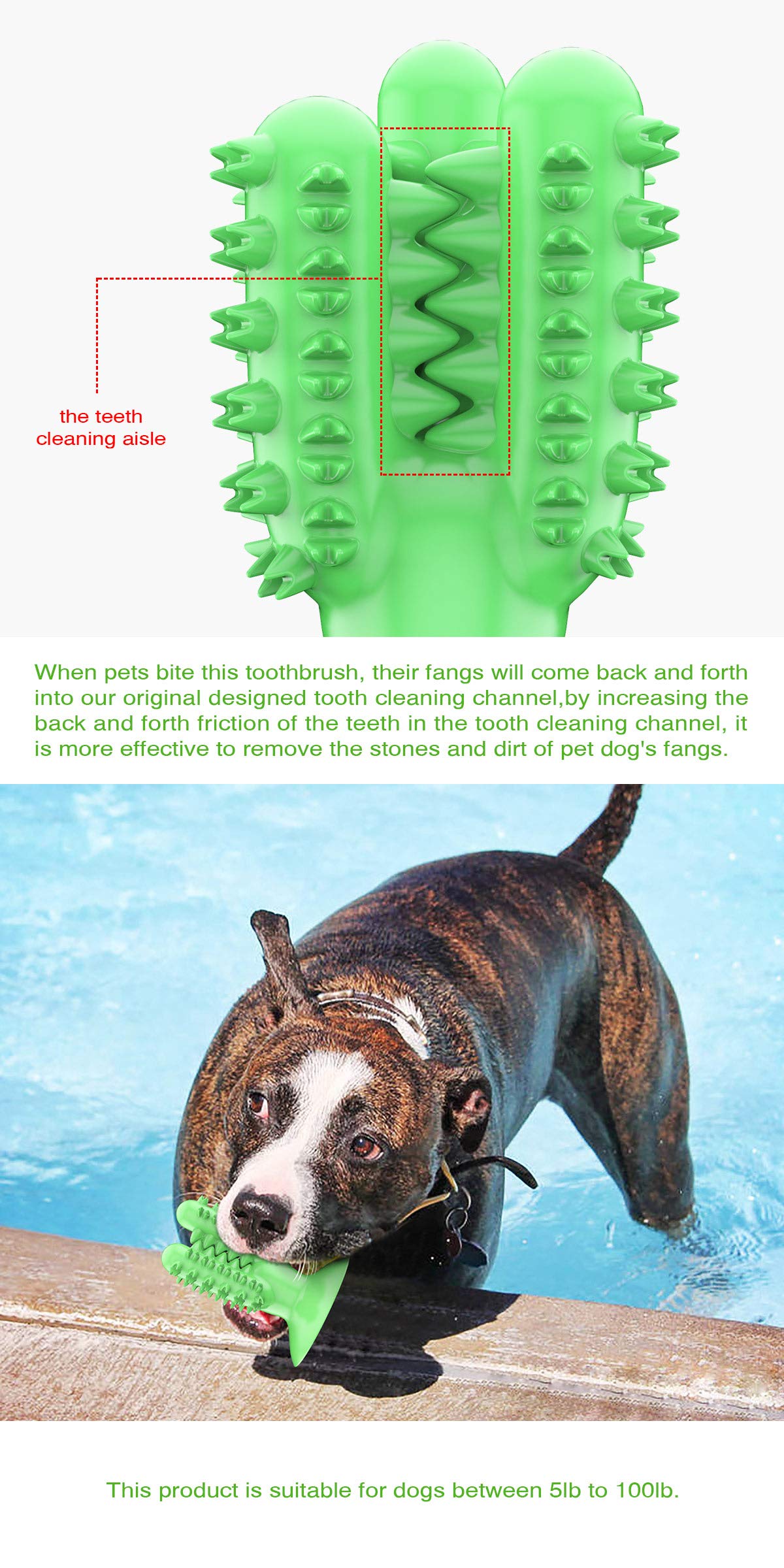 Dog Toothbrush Chew Toy, Cactus Shaped Chew Toy, Dog Teeth Cleaning Dental Toy With Cotton Rope For Dogs, Puppies And Aggressive Chewers In Aspect Of Size: Small Medium Large (if Buy More One, Will Ge