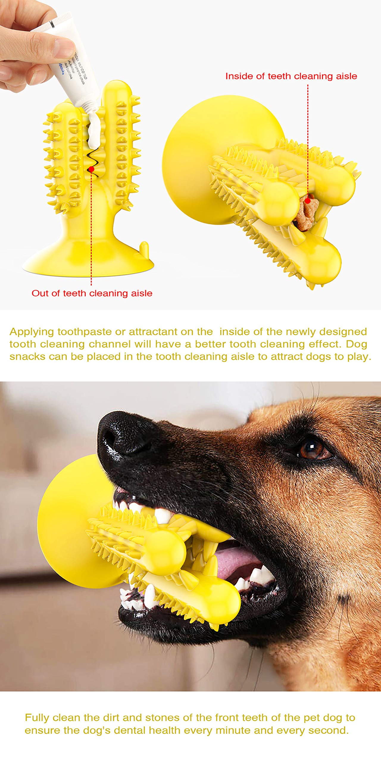 Dog Toothbrush Chew Toy, Cactus Shaped Chew Toy, Dog Teeth Cleaning Dental Toy With Cotton Rope For Dogs, Puppies And Aggressive Chewers In Aspect Of Size: Small Medium Large (if Buy More One, Will Ge