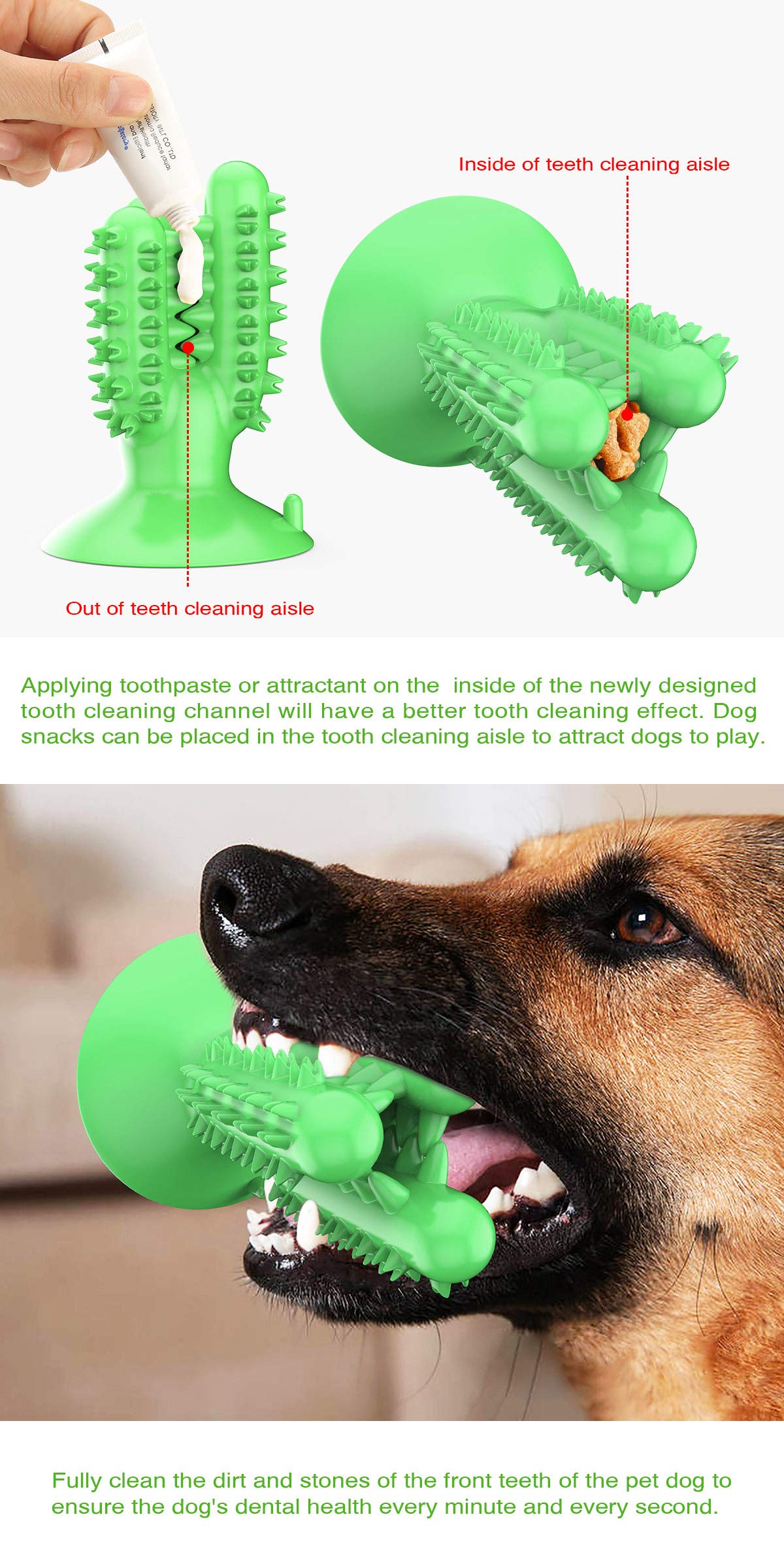 Dog Toothbrush Chew Toy, Cactus Shaped Chew Toy, Dog Teeth Cleaning Dental Toy With Cotton Rope For Dogs, Puppies And Aggressive Chewers In Aspect Of Size: Small Medium Large (if Buy More One, Will Ge