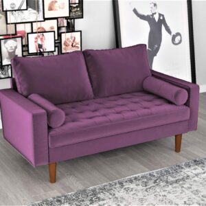 US Pride Furniture Caladeron Mid-Century Modern Loveseat in Soft Velvet