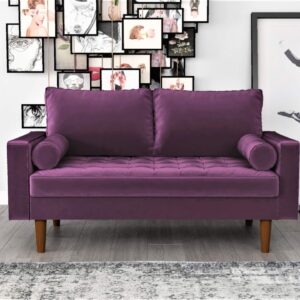 US Pride Furniture Caladeron Mid-Century Modern Loveseat in Soft Velvet