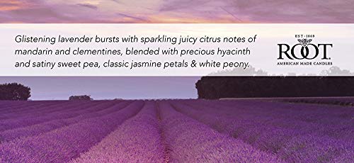 Root Candles Scented Candles Honeycomb Glass Premium Handcrafted Beeswax Blend 3-Wick Candle, 12-Ounce, Lavender Vanilla