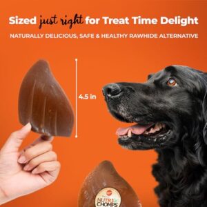 NutriChomps Nutri Ears-Easy to Digest, Rawhide-Free Dog Treats, Bundle of 10, Real Chicken Flavor, Brown (NT082V-10)