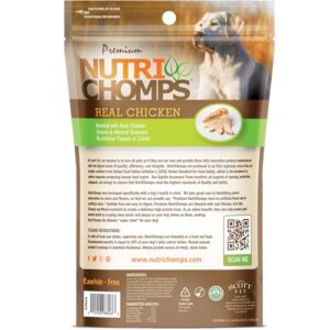 NutriChomps Dog Chews – 5-inch Twists, Easy to Digest, Rawhide-Free Dog Treats, Healthy, 10 Count, Real Chicken Flavor, Bundle of 2 (NT062V-2)