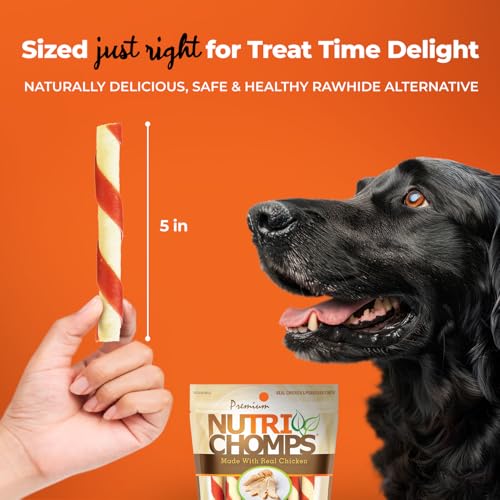 NutriChomps Dog Chews – 5-inch Twists, Easy to Digest, Rawhide-Free Dog Treats, Healthy, 10 Count, Real Chicken Flavor, Bundle of 2 (NT062V-2)