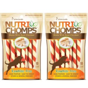 nutrichomps dog chews – 5-inch twists, easy to digest, rawhide-free dog treats, healthy, 10 count, real chicken flavor, bundle of 2 (nt062v-2)