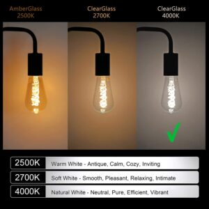 RuiAoTD ST58 (ST19) Vintage Edison LED Bulb, Daylight White 4000K, Antique Flexible Spiral LED Filament Light Bulb, 600LM Dimmable, 6W Equivalent to 60W, CRI 80+, E26 Base, Clear Glass, 6 Pack