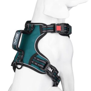 PoyPet No Pull Dog Harness, No Choke Front Clip Reflective Dog Vest with Soft Padded Vertical Handle, 3 Leash Attachments for Small Medium Large Dogs (Tumalo Teal,M)