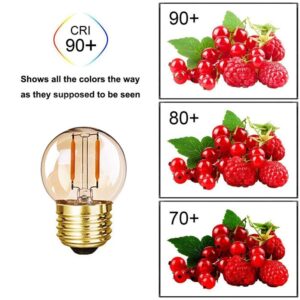 G40 Low Watt Light Bulb Edison LED Bulb Mini Globe Light Bulbs 1W Equivalent to 10Watt Incandescent E26 Screw Base Led Bulbs Ultra Warm White 2200K, Non Dimmable (G40g-2pack)