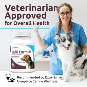 K9 Select Multi-Formula Dog Vitamins for Medium Dogs - 20mg HMR Lignans, 2mg Melatonin, 40mg Milk Thistle - Helps Heart, Liver, Digestion, Skin & Coat Health, Dog Multivitamin, 90 Capsules