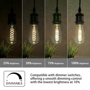 RuiAoTD ST58 (ST19) Vintage Edison LED Bulb, Daylight White 4000K, Antique Flexible Spiral LED Filament Light Bulb, 600LM Dimmable, 6W Equivalent to 60W, CRI 80+, E26 Base, Clear Glass, 6 Pack