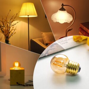 G40 Low Watt Light Bulb Edison LED Bulb Mini Globe Light Bulbs 1W Equivalent to 10Watt Incandescent E26 Screw Base Led Bulbs Ultra Warm White 2200K, Non Dimmable (G40g-2pack)