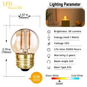 G40 Low Watt Light Bulb Edison LED Bulb Mini Globe Light Bulbs 1W Equivalent to 10Watt Incandescent E26 Screw Base Led Bulbs Ultra Warm White 2200K, Non Dimmable (G40g-2pack)