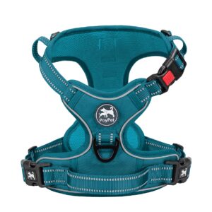 poypet no pull dog harness, no choke reflective dog vest, adjustable pet harnesses with easy control padded handle for small medium large dogs(tumalo teal,s)