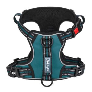 poypet no pull dog harness, no choke front clip reflective dog vest with soft padded vertical handle, 3 leash attachments for small medium large dogs (tumalo teal,m)