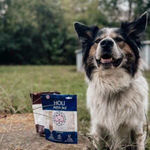 HOLI Elk & Venison Freeze Dried Dog Treats - All Natural and Wild Caught | Vitamin and Mineral Fortified | Made in USA - Human Grade - Grain Free - Diabetic Friendly - 3oz