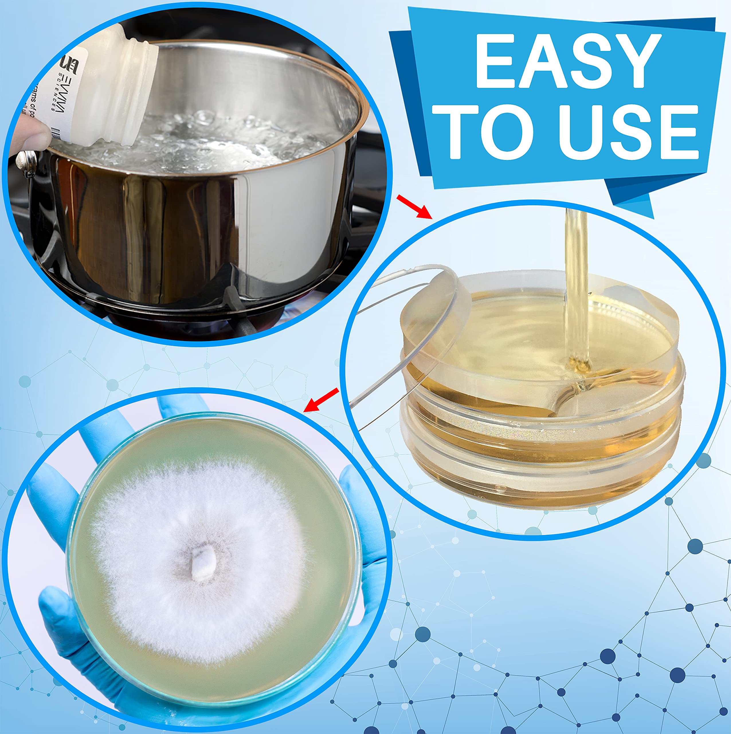 Malt Extract Agar Powder 100g by Evviva Sciences, Can Make Over 100 Agar Petri Dishes, for Mold & Fungus, Ideal for Mushrooms & Science Projects