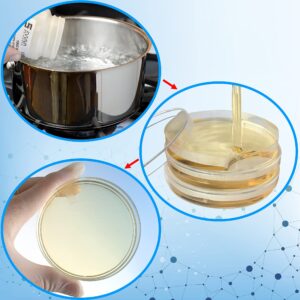 Tryptic Soy Agar Powder 100 Grams - Evviva Sciences - Make 100 to 125 Agar Petri Dishes - Excellent for Microbiology - Great for Science Projects