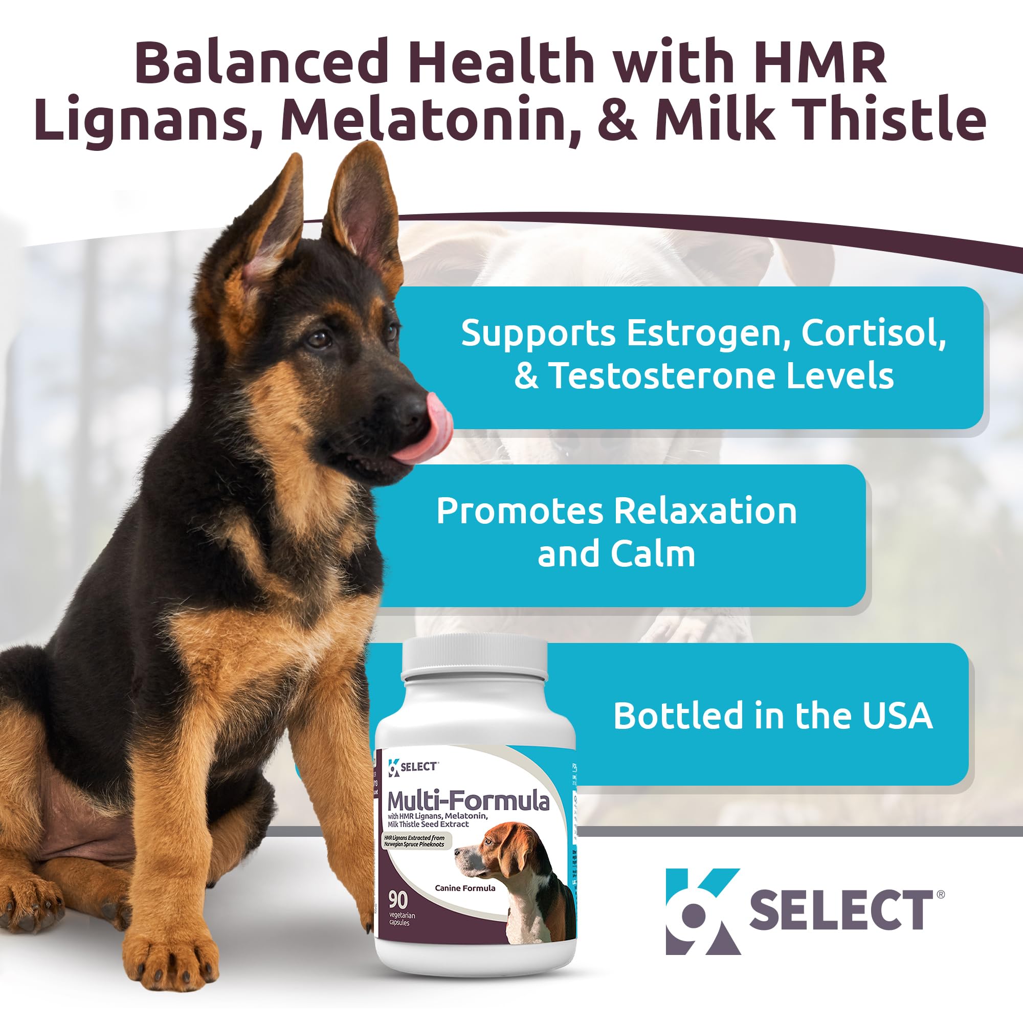 K9 Select Multi-Formula Dog Vitamins for Medium Dogs - 20mg HMR Lignans, 2mg Melatonin, 40mg Milk Thistle - Helps Heart, Liver, Digestion, Skin & Coat Health, Dog Multivitamin, 90 Capsules