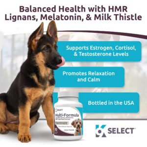 K9 Select Multi-Formula Dog Vitamins for Smaller Dogs - 10mg HMR Lignans, 1mg Melatonin, 20mg Milk Thistle - Helps Heart, Liver, Digestion, Skin & Coat Health, 90 Tablets, Peanut Butter Flavor