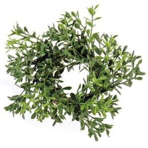 happy deals ~ new england boxwood candle ring | 2 inch center | greenery candle ring wreath | 6 inch | fxp78275, green