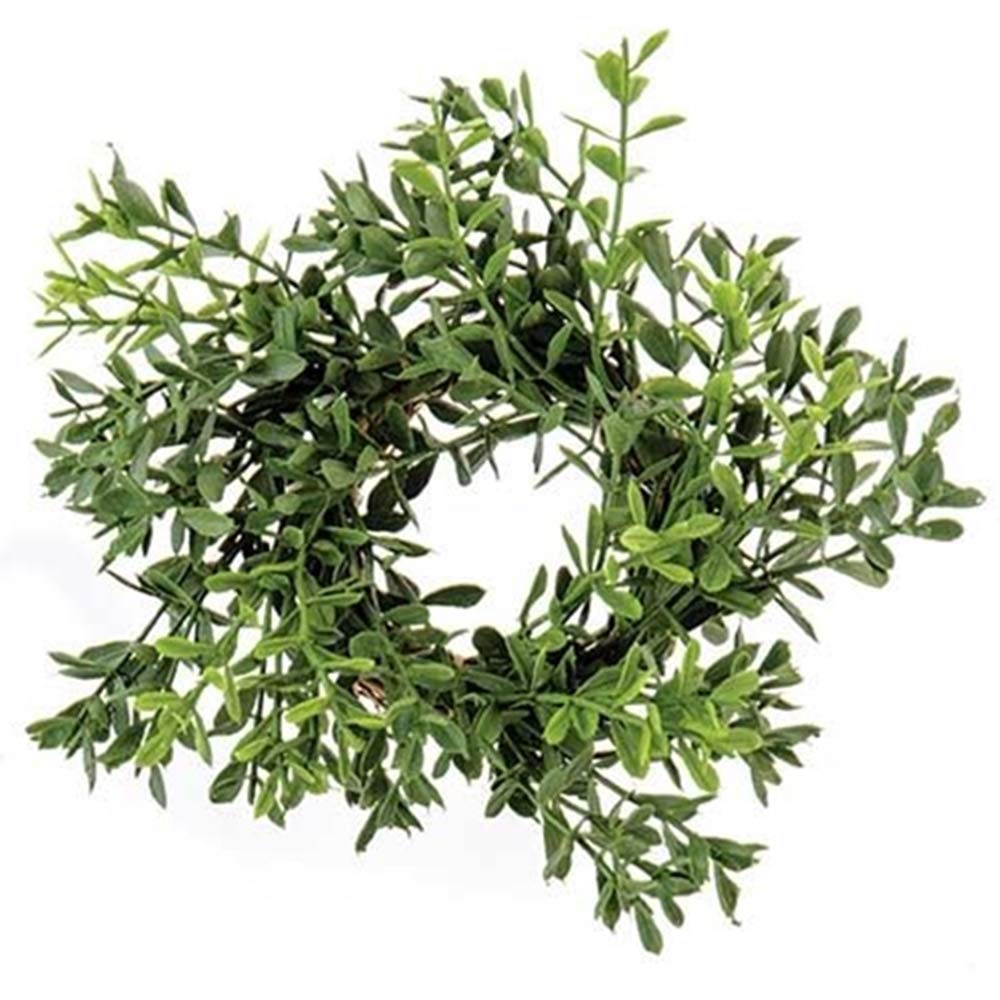 HAPPY DEALS ~ New England Boxwood Candle Ring | 2 inch Center | Greenery Candle Ring Wreath | 6 inch | FXP78275, Green