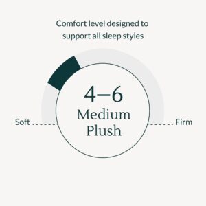 Leesa Legend Hybrid 12" Mattress, Queen Size Luxury Dual Hybrid/CertiPUR-US Certified/with Organic Cotton Mattress Cover / 100-Night Trial