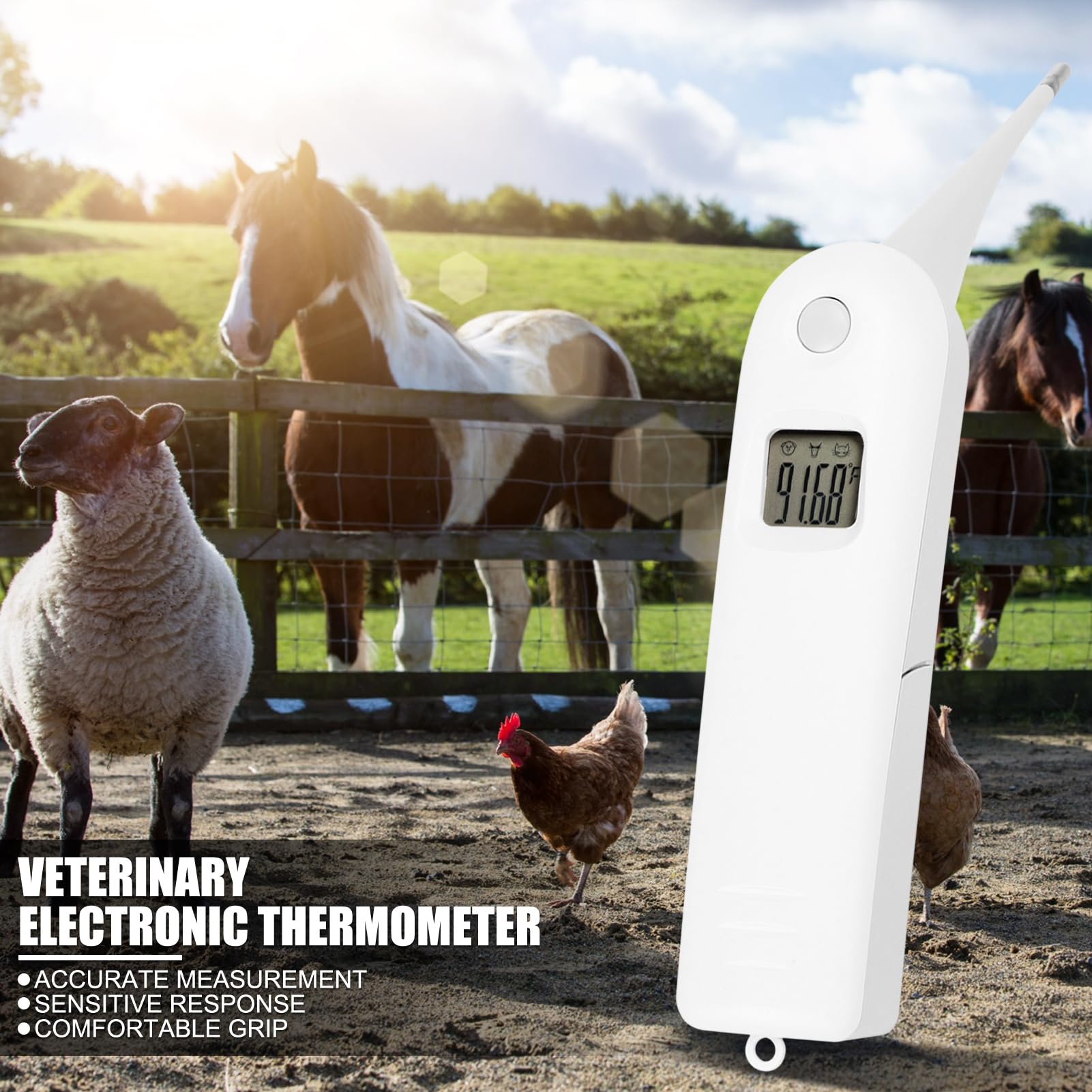 Professional Pet Veterinary Thermometer, LCD Display Fast Digital Veterinary Thermometer, Pet Electronic Thermometer for Livestock Pigs Cattle Sheep Dogs Horse