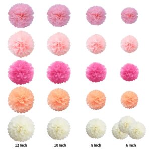 Tissue Paper Pompoms Paper Flower 22 Pcs Pink,Light Pink,Hot Pink,Ivory, Light Peach Paper Flower Ball for Birthday Bachelorette Wedding Baby Shower Bridal Shower Party Decoration