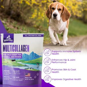 Multi-collagen Peptide Liquid Collagen For Dogs, Dog Collagen, Eggshell Powder Membrane For Dogs -Arthritis Support- Skin & Coat Health, Allergies,Dog Mobility Hip & Joint Pain Joint Supplement Relief