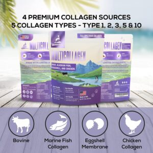 Multi-collagen Peptide Liquid Collagen For Dogs, Dog Collagen, Eggshell Powder Membrane For Dogs -Arthritis Support- Skin & Coat Health, Allergies,Dog Mobility Hip & Joint Pain Joint Supplement Relief