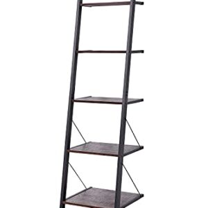 RAAMZO 5-Tier Industrial Leaning Ladder Wall Bookshelf Bookcase Display Storage Rack Accent in Walnut Finish and Black Frame - 75-inch Height