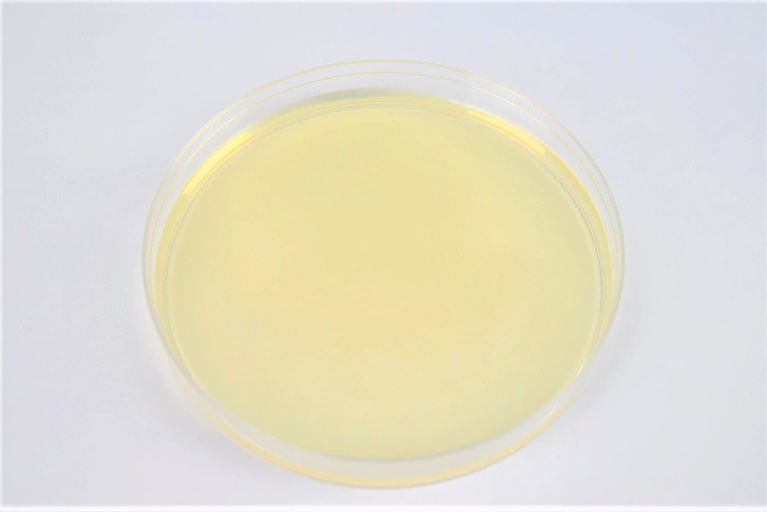 Potato Dextrose Agar (PDA) with Tartaric Acid, (10-Pack), Pre-Poured, 15x100mm Petri Plates. Great for Mushroom Cultivation. for The Isolation of Yeasts and Molds.