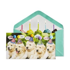 niquea.d, row of puppies birthday card