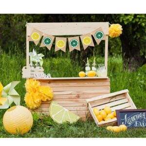 Uniwish Lemon Slices Banner Garland Lemonade Stand Decorations Lemon Theme Bridal Shower Birthday Hanging Bunting Home Outdoor Decor