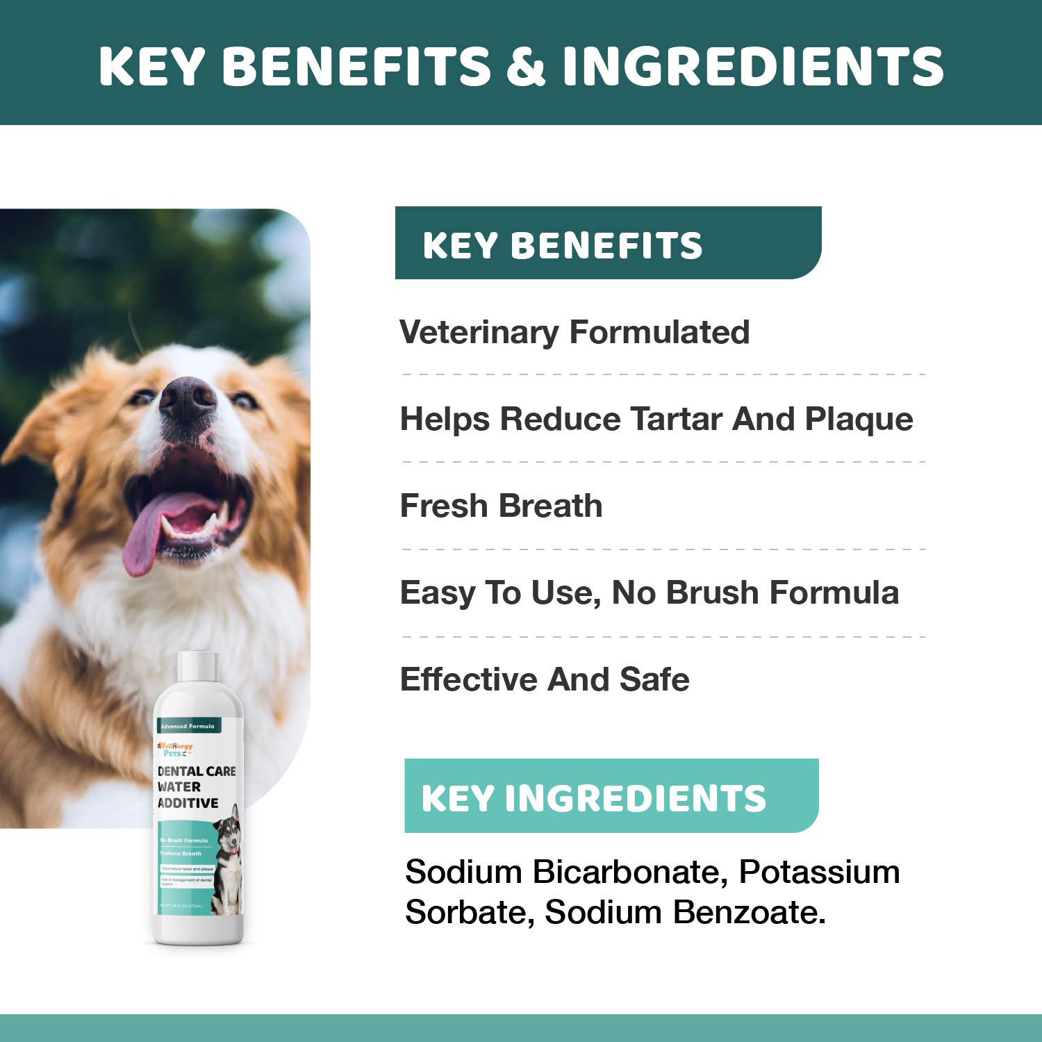 Wellnergy Pets Dental Care Water Additive for Dogs & Cats 2 Pack – No Brush Formula, Oral Hygiene & Fresh Breath, Reduce Plaque and Tartar. 16 FL OZ Each Bottle