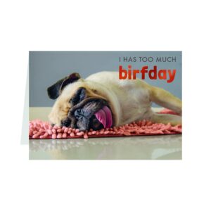 NIQUEA.D, Pug on Rug Birthday Card