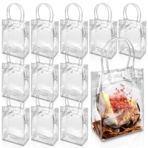 oomcu 18 pack clear plastic gift bags with handle,9.06" x 6.7" x 2.76" reusable pvc wrap tote bags for shopping retail goodies business boutique wedding birthday baby shower party favor halloween