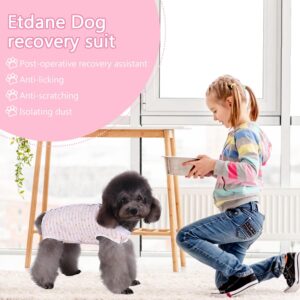 Etdane Recovery Suit for Dog Cat After Surgery Dog Surgical Recovery Onesie Female Male Pet Bodysuit Dog Cone Alternative Abdominal Wounds Protector Pink Stripe/Star/Medium