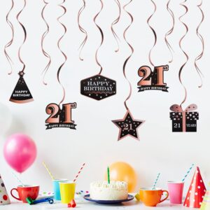 LINGTEER Happy 21st Birthday Decorations,21st Birthday Black with Rose Swirls Hanging Streamer Kit,Cheers to 21 Years Old Bday Foil Party Photo Backdrop Supplies.